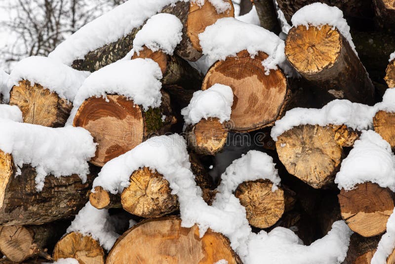 Snow Covered Firewood. Stack of Wood Cut. Snow on the Timber Stack ...