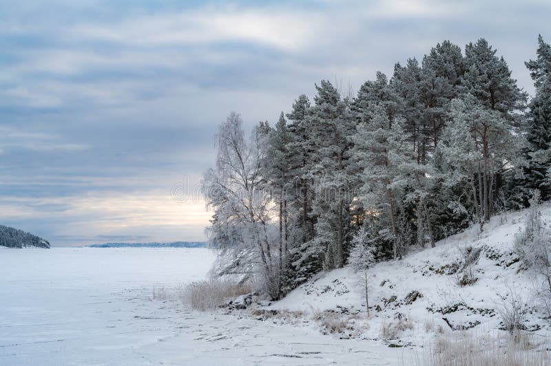 Snow-covered Forest on a Frosty Winter Day Stock Image - Image of ...