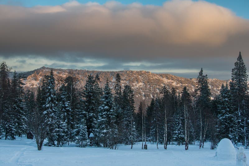 Snow-covered Forest in the Mountains at Dawn. Stock Image - Image of ...