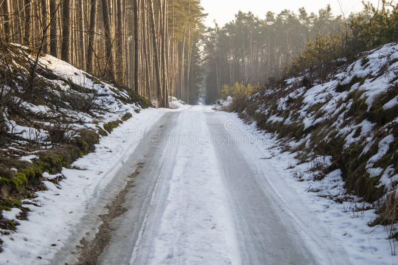Snow-covered Forest Road in the Rays of the Setting Sun. Winter Stock ...