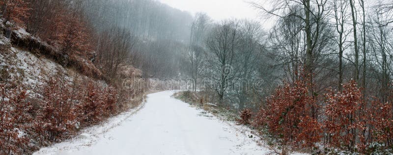 Snow covered forest road stock photo. Image of foggy - 91247786