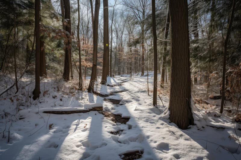 Covered Trails Stock Illustrations – 114 Covered Trails Stock ...