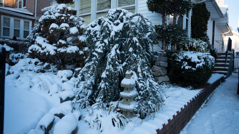 Snow-covered Front Yard with Evergreen Trees and a Small Stone Pagoda ...