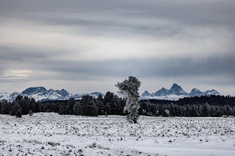 Snow-covered Grand Teton Mountains in Winter Stock Image - Image of ...