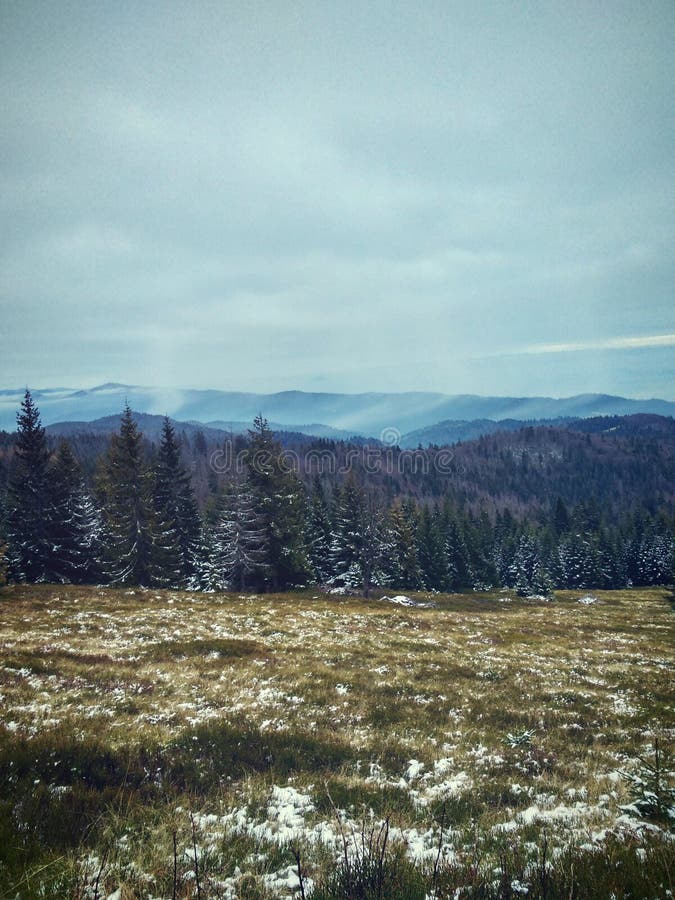 Snow Covered Green Meadow with Forest in the Background in Mountains ...