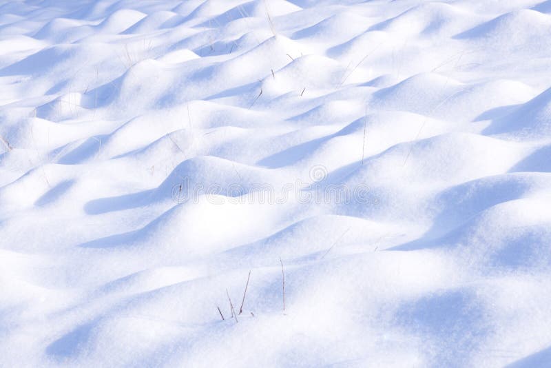 Snow-covered ground stock image. Image of january, drift - 8337449