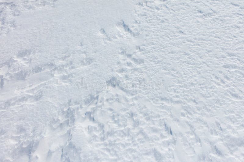 A Snow Covered Ground with a Few Footprints Stock Photo - Image of ...