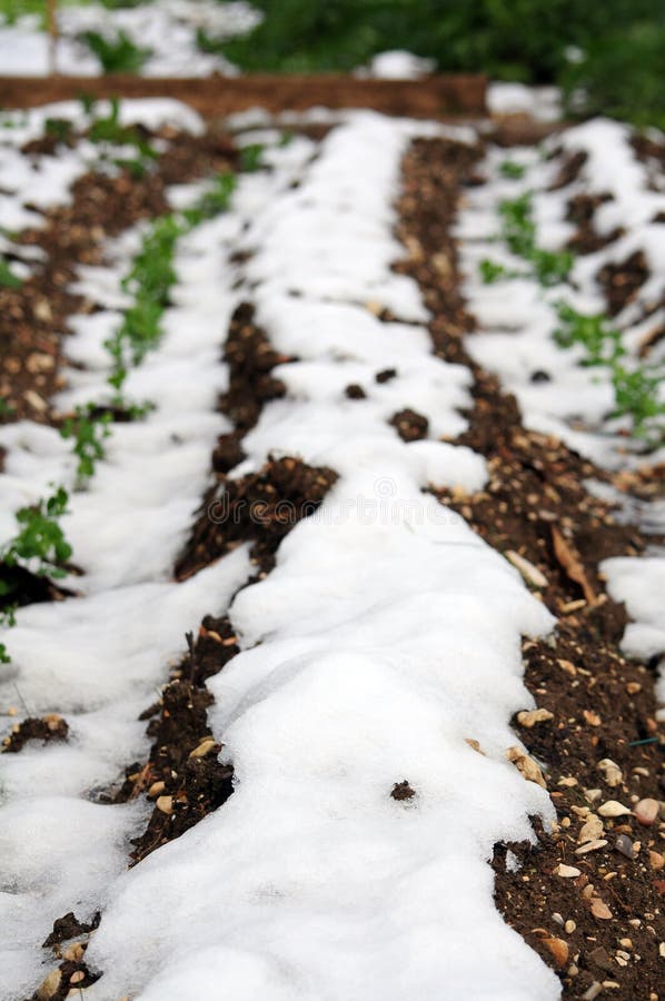 Snow covered ground stock image. Image of country, snowy - 35613015