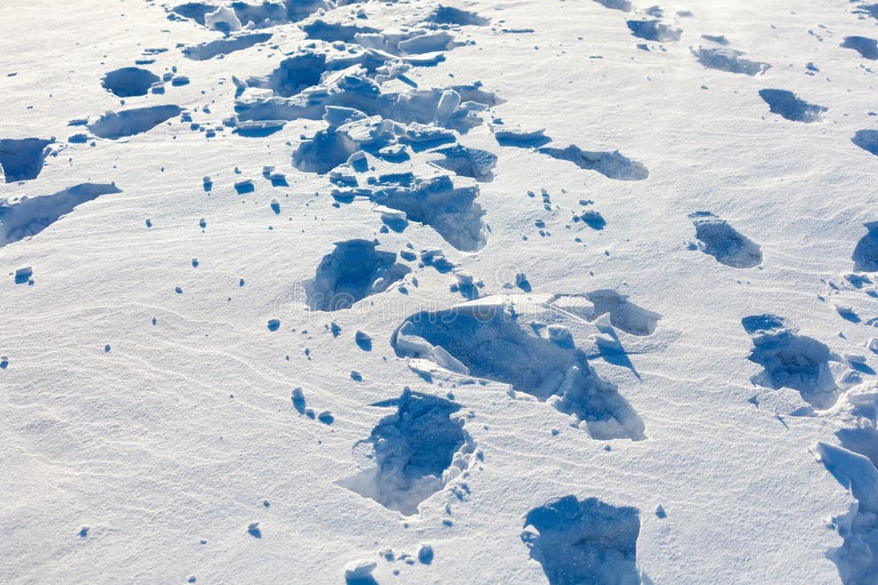 A Snow Covered Ground with Many Footprints Stock Photo - Image of ...