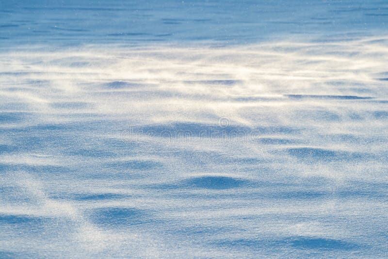 Blowing in winter stock image. Image of snow, nature - 82699557