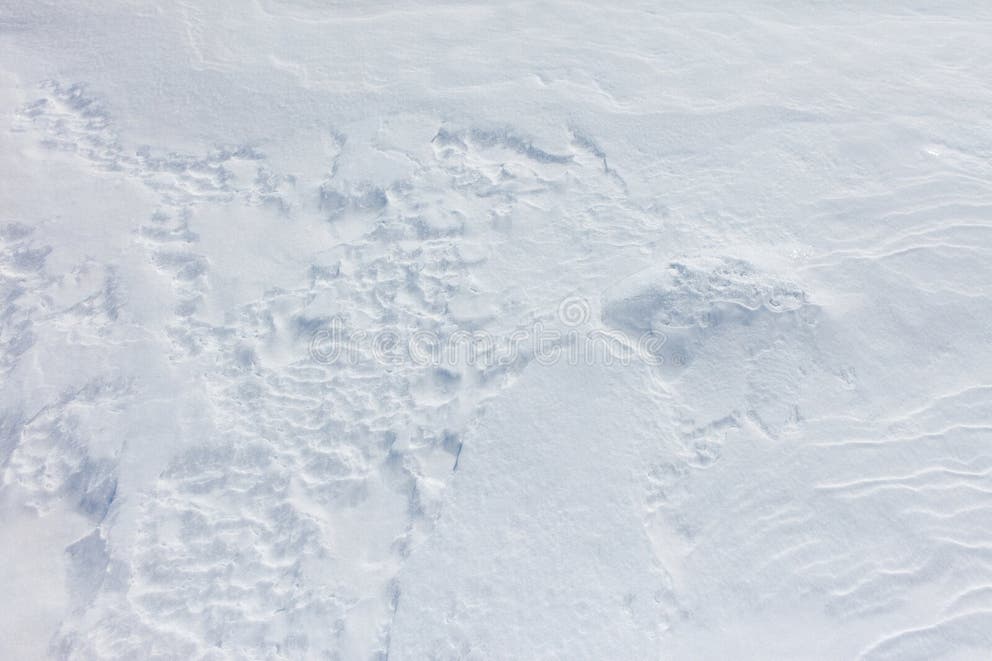 A Snow Covered Ground with Tracks in the Snow Stock Photo - Image of ...