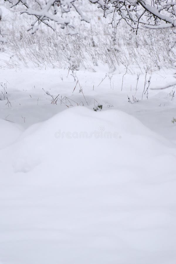 Snow Covered the Ground in Winter. Winter Weather Stock Image - Image ...