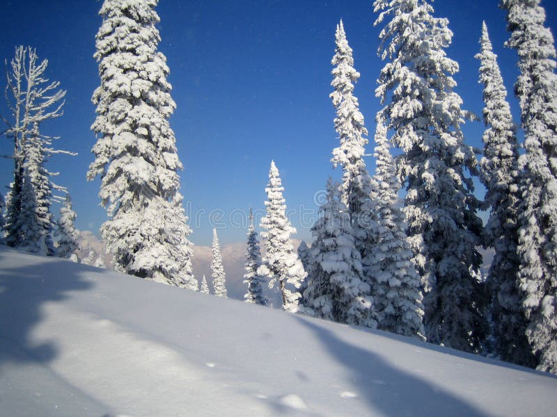 Snow Covered Hills & Trees Stock Photo - Image of pristine, freezing ...