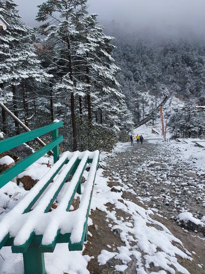 Snow Covered Hills and Trees Very Beautiful Natural View so Awesome ...