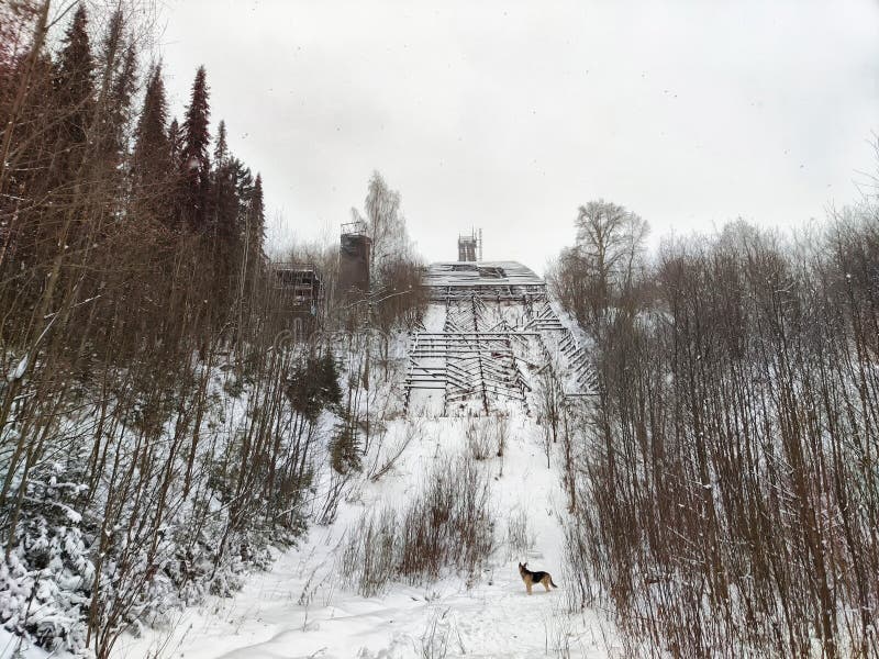 Snow-covered Hillside with a Staircase Leading To a Building in a Dense ...