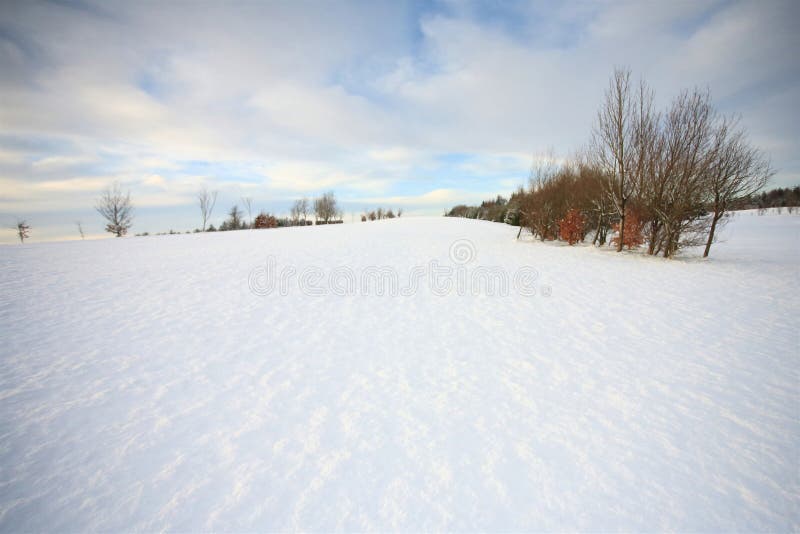 Snow Covered Hillside with Trees Stock Image - Image of nature, scenic ...