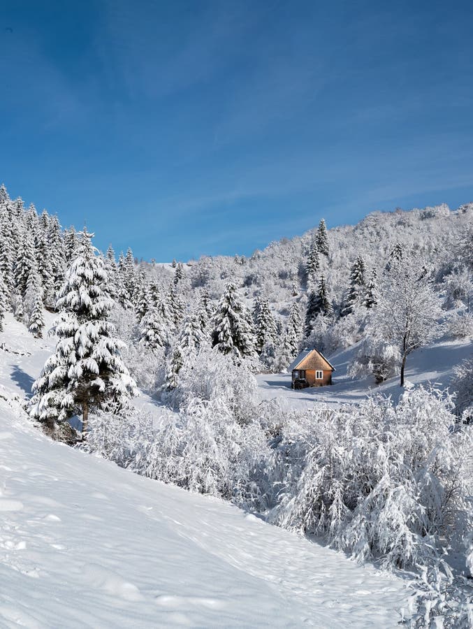 Snow-covered House Standing in Forest on the Side of a Mountain Stock ...
