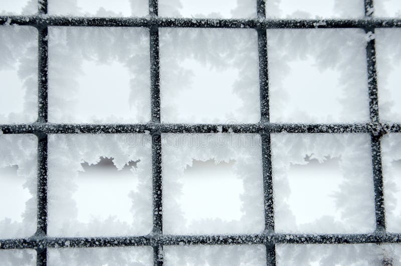 Ice-covered mesh fence stock photo. Image of macro, cold - 170136454
