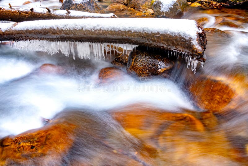 Snow Covered Icy Log in the Middle of a Wild River Flowing Over Rocks ...