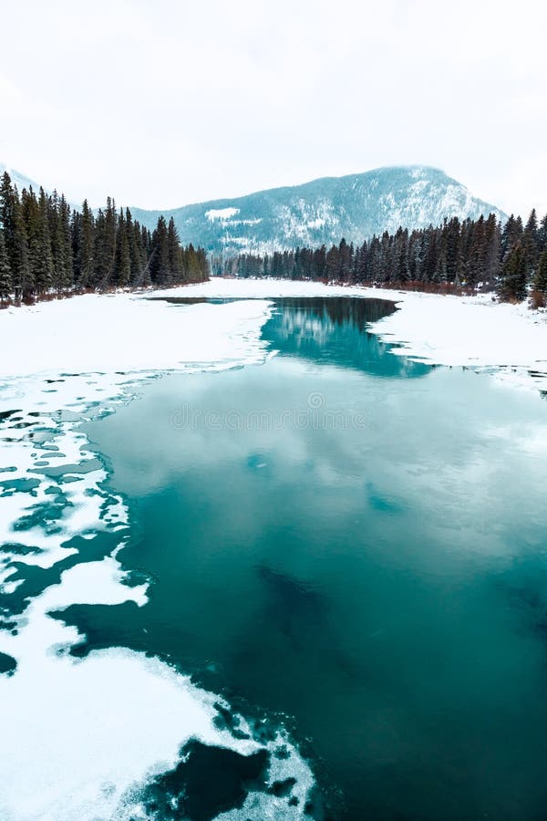 Snow-covered Lake with Fir Trees and Mountains in the Backdrop Stock ...