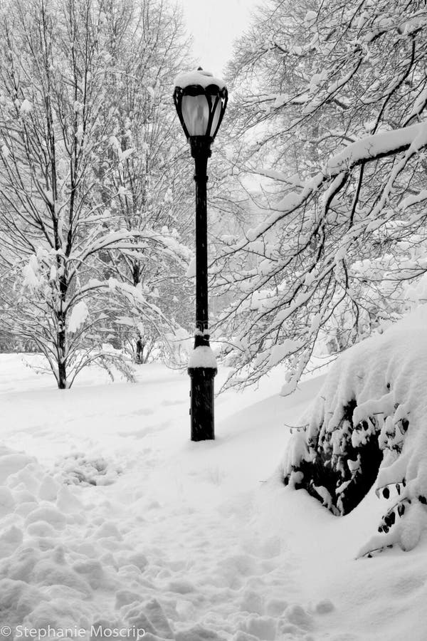 Snow Covered Lamp Post in Central Park Stock Photo - Image of cenral ...