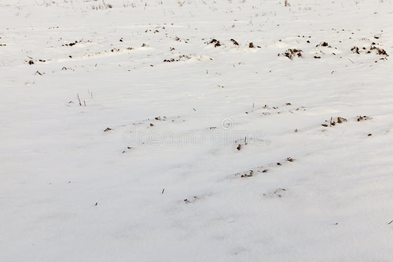 Snow covered land stock image. Image of natural, frost - 121688071