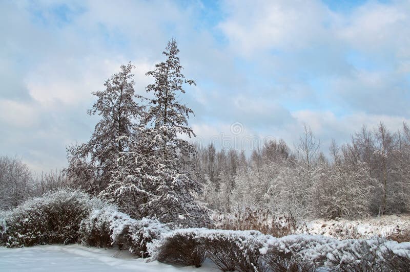 Snow Landscape Free Stock Photos & Pictures, Snow Landscape Royalty ...