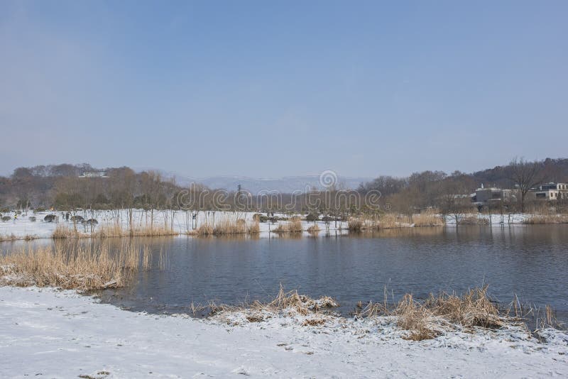 Snow-covered landscape stock image. Image of landscape - 72454527