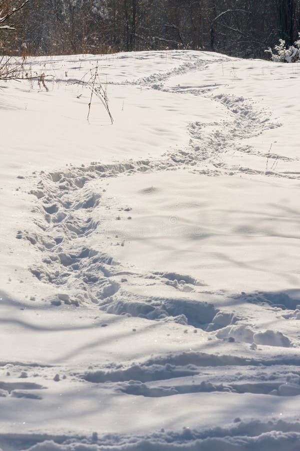 Winter Snow Landscape Natural Kharkiv Stock Image - Image of kharkiv ...