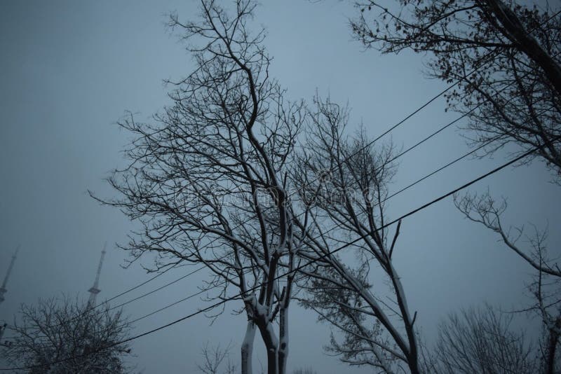 Snow-covered Landscape. Severe Winter Snow, Wind, Cold Stock Image ...
