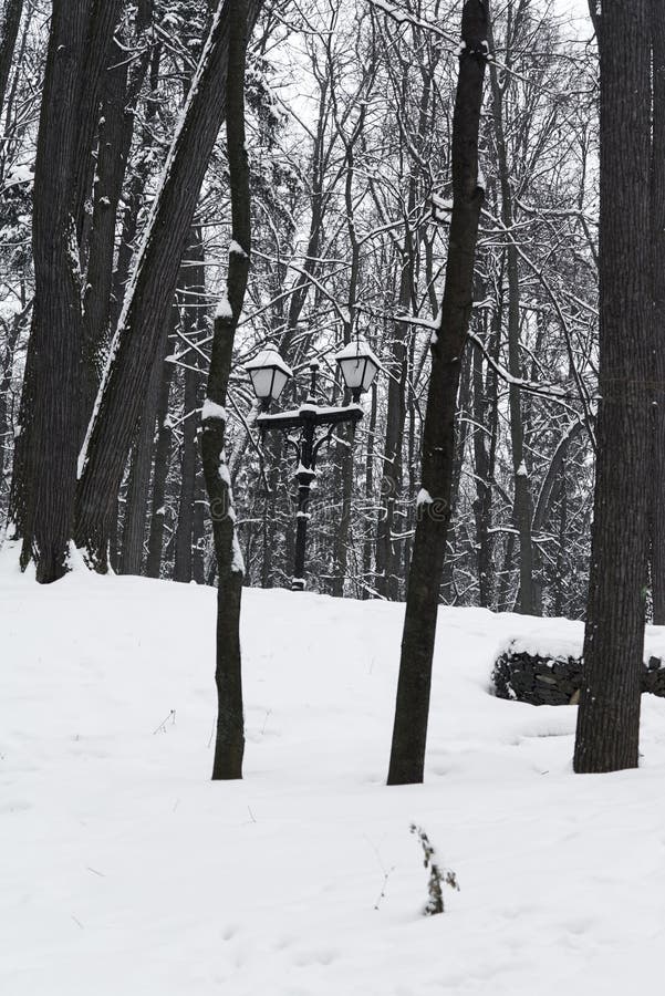 Snow-covered lights. stock image. Image of post, branch - 84423957