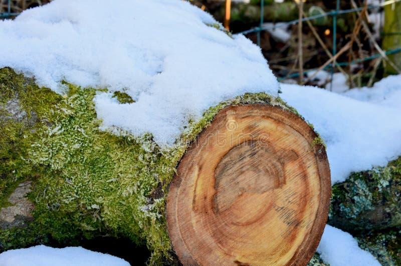 Snow covered log stock image. Image of covered, festive - 111251627