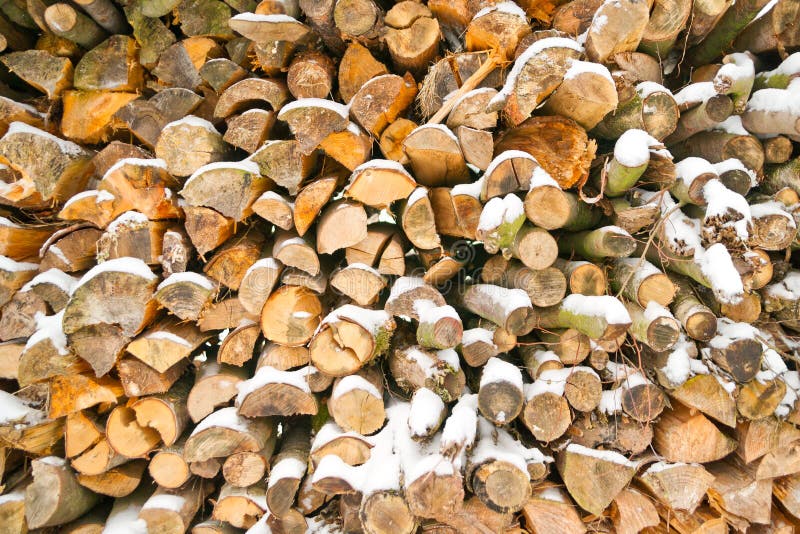 Snow-covered log pile stock image. Image of tree, person - 97873911
