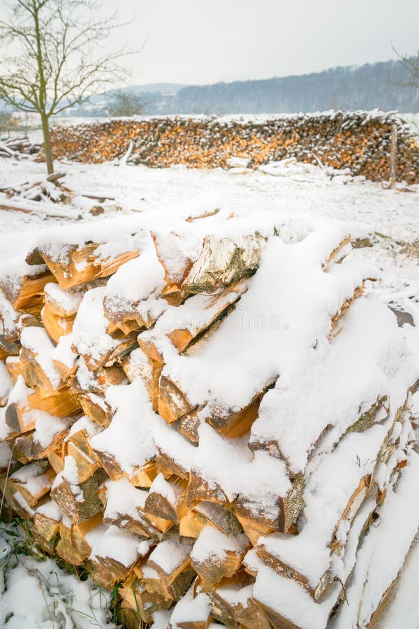 Snow-covered log pile stock photo. Image of tree, supply - 97876364