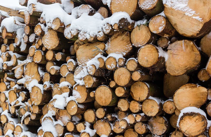 Snow covered logs stock photo. Image of pine, material - 28764108