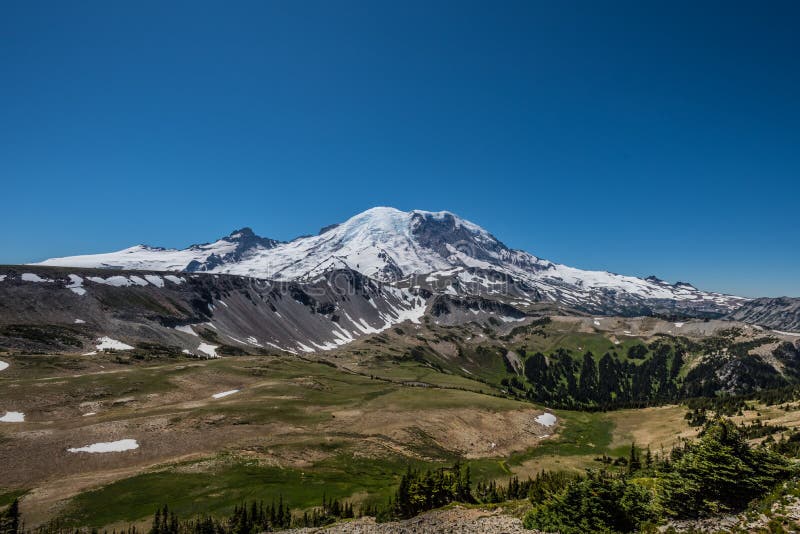 Snow Covered Mount Rainier and Grassy Meadow Below Stock Image - Image ...