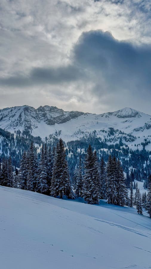 Snow-Covered Mountain Landscape with Evergreen Trees and Cloudy Sky ...
