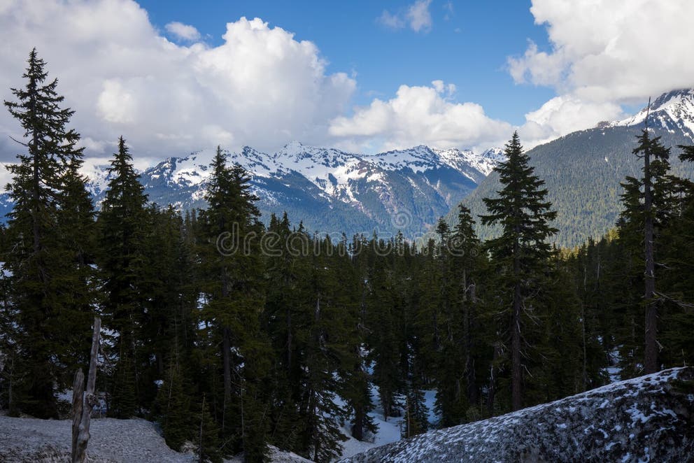 Snow Covered Mountains, Mt. Baker, in Spring Washington State Stock ...