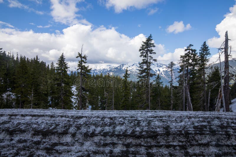 Snow Covered Mountains, Mt. Baker, in Spring Washington State Stock ...