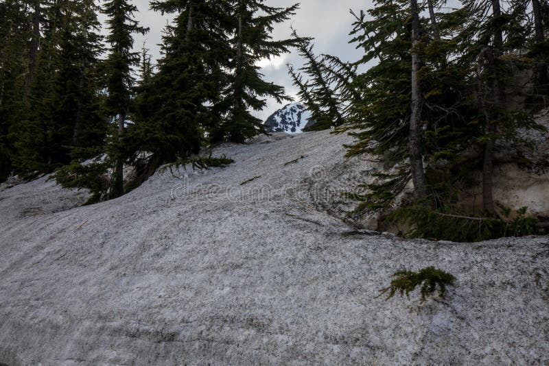 Snow Covered Mountains, Mt. Baker, in Spring Washington State Stock ...
