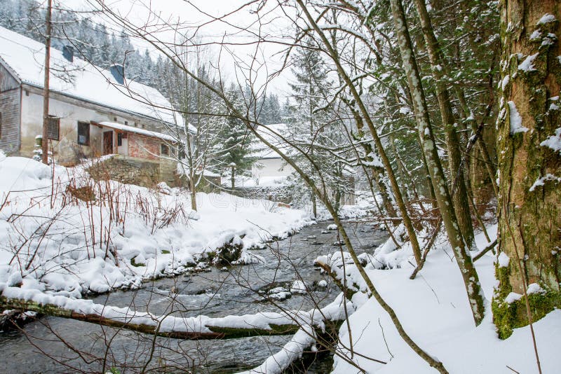 Snow Covered Mountains and Pines on a Heavy Snow Day in Austria Stock ...