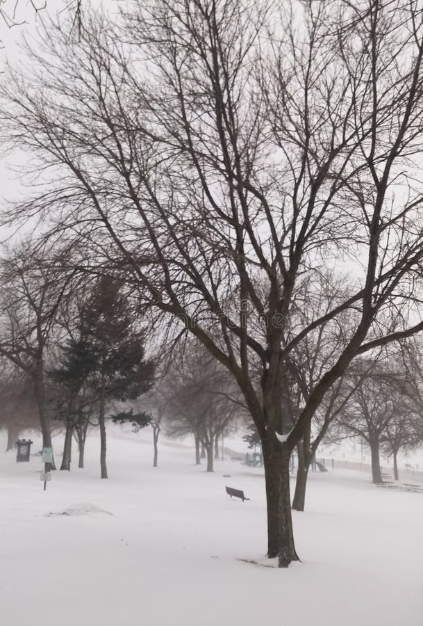 Snow Covered Park with Bare Trees and Cold Winter Weather Stock Image ...