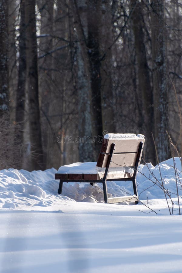 A Snow-covered Park Bench from Behind Stock Photo - Image of table ...