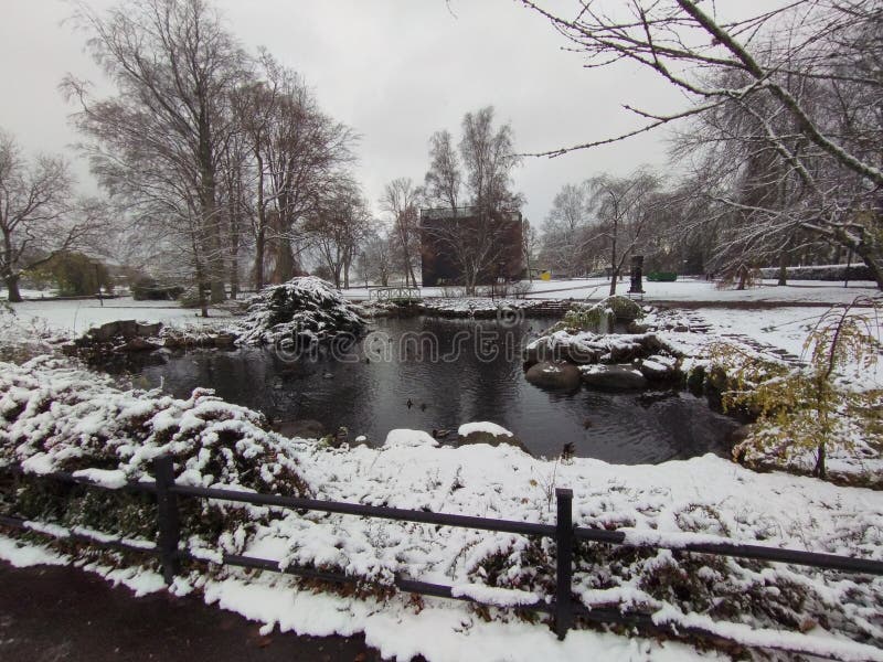 Still Resisting Winter Stock Photos - Free & Royalty-Free Stock Photos ...