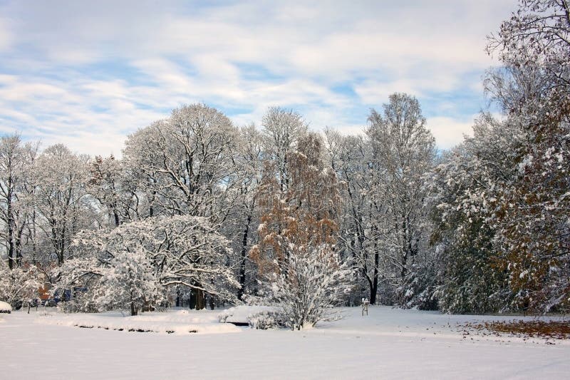 Snow-covered Park in November Day Stock Image - Image of sunny, snow ...