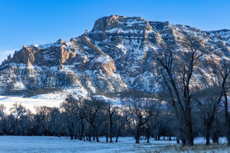 Snow-covered Pasture, Trees and Carter Mountain at Sunset Stock Photo ...