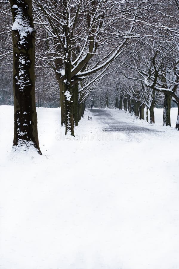 Walking in winter stock image. Image of hiking, bleak - 6251115