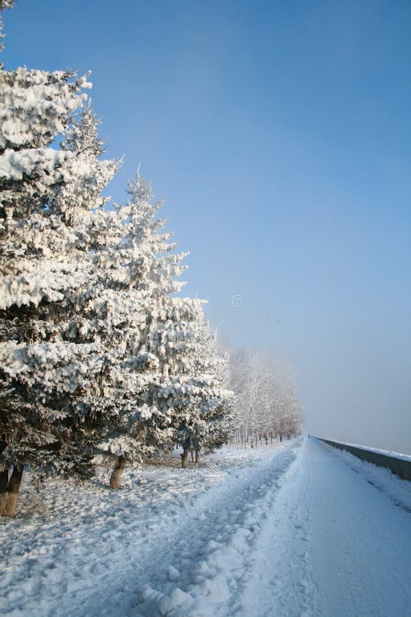 Snow-covered path stock image. Image of road, frost, slush - 4204303