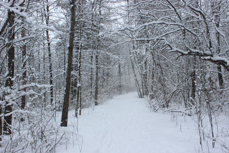 Snow covered path stock image. Image of snow, winter - 243200655