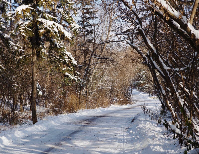 Snow Covered Path in November in Edmonton Alberta Stock Photo - Image ...